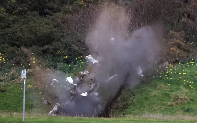 Unexploded Ordnance (UXO) Company | 1st Line Defence